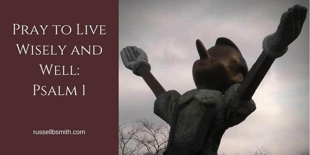 Pray to Live Wisely And Well: Psalm 1 | Horizons of the Possible